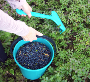 Säilöntätarvikkeet Savenmaalta